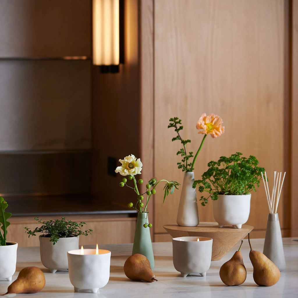 Myrtle and Moss Botanical Field Diffuser 185ml | Minimax