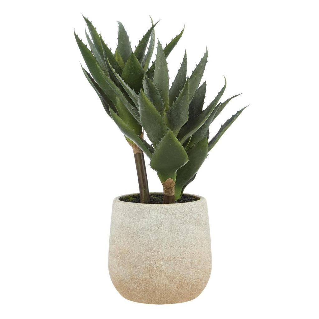 Rogue Aloe 3 Heads Pot Green 23x23x33cm | Minimax