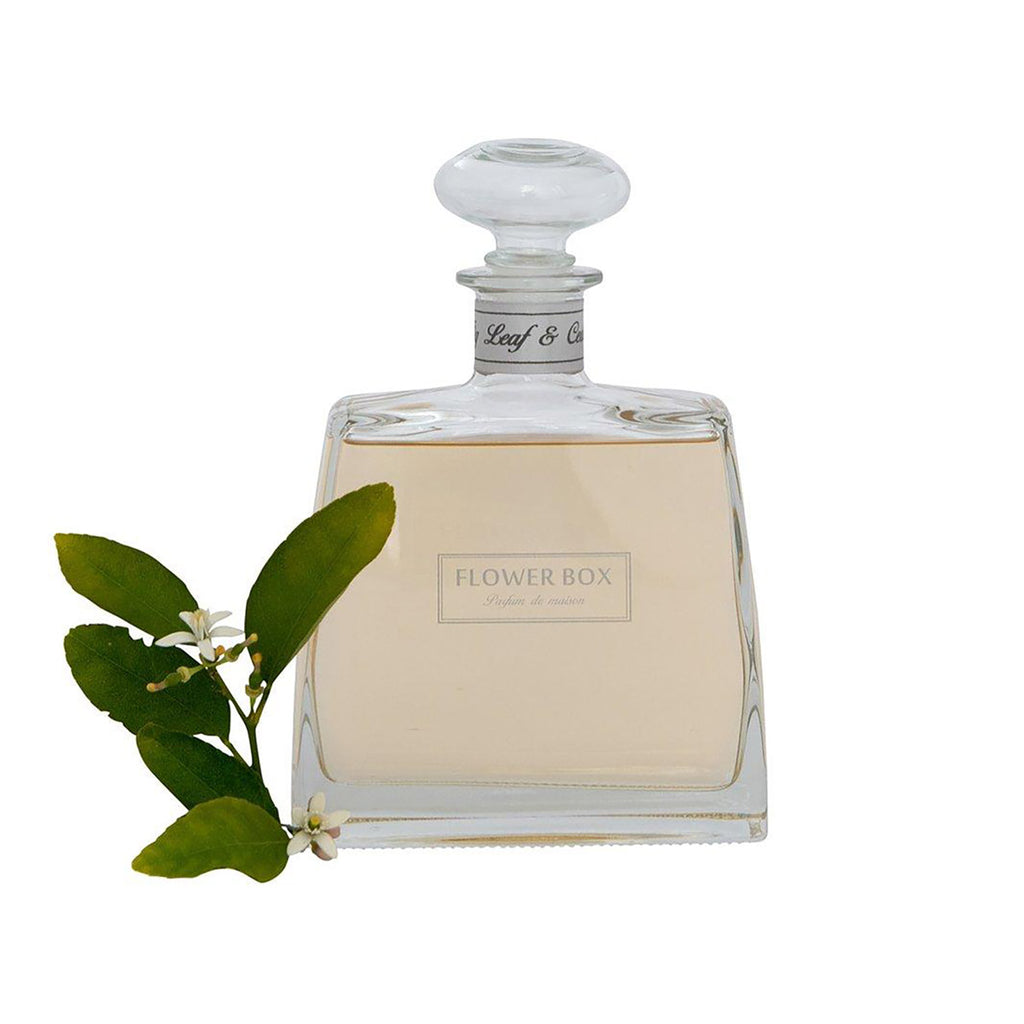 Flower Box Fig Leaf & Cedar Diffuser 700ml | Minimax
