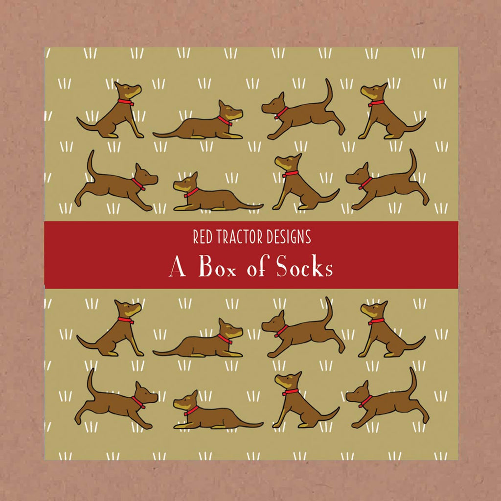 Red Tractor Designs Kelpies Boxed Socks Red/Tan Medium | Minimax